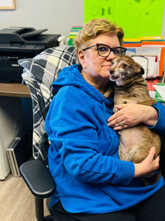 DNM Group – Home & Commercial Services in Sault Ste. Marie & Algoma ...